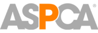 HOME - ELITE POWER INC.